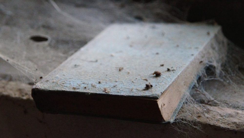 Why Are People So Fascinated with 'Lost' Books of the Bible? - Canon Fodder